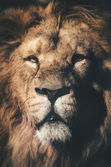 Ifeoluwa Popoola On Linkedin I Need To Eat A Friend Inspired Me To