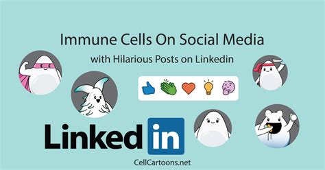 Immune System Cell Cartoon Immune Response Immune Cell Types Geeky