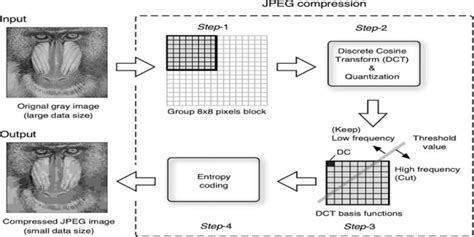 Lossy Vs Lossless Compression Comprehensive Analysis Shortpixel Blog