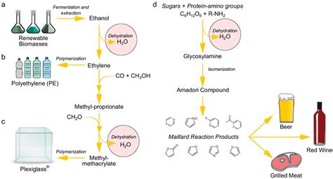Phospholipid Synthesis Dehydration