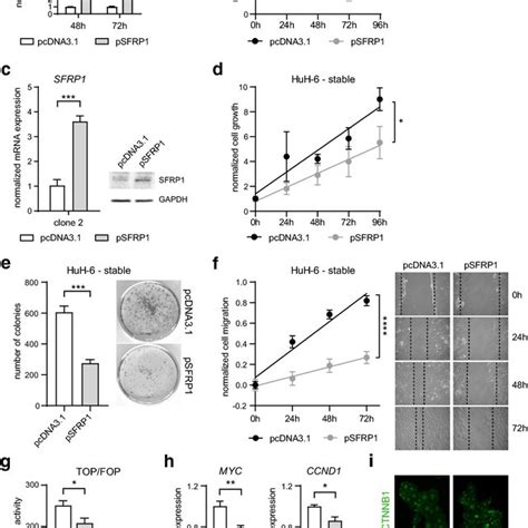Sfrp1 Dna Methylation Correlates With The Tumor Type And Late Onset Of