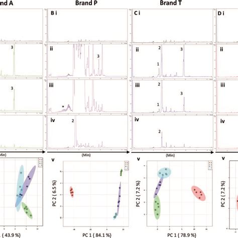 Principle Component Analyses Between Different Brands Membrane Filter