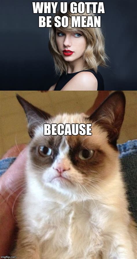 Grumpy Cat Memes Taylor Swift