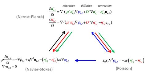Set Of Strongly Coupled Electrohydrodynamic Equations Describing Ion