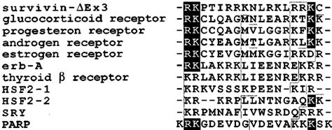 Alignment Of Bipartite Nuclear Localization Signals Of Survivin Dex3 Download Scientific