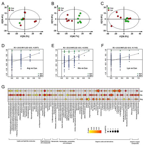 The Metabolomics Analyses Of Ins 1 β Cells Treated With Different Basic