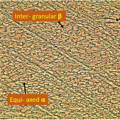 The Microstructure Of Bm Ti6al4v Titanium Alloy Download