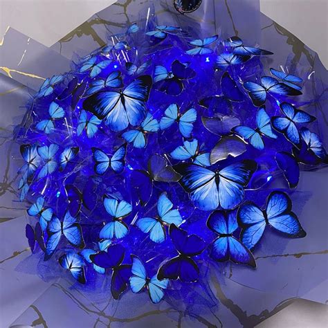 Farfalla • ფარფალა