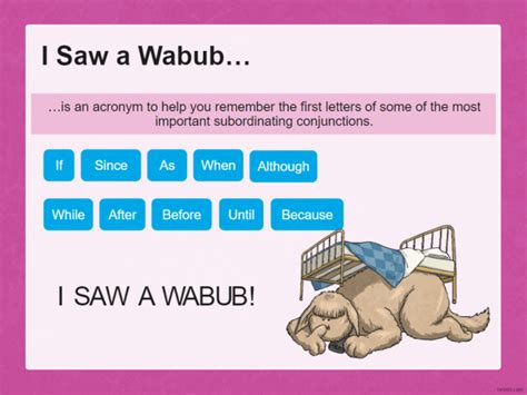 What Are Conjunctions Types Conjunction Sentences