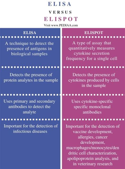 What Is The Difference Between Elisa And Elispot Pediaacom