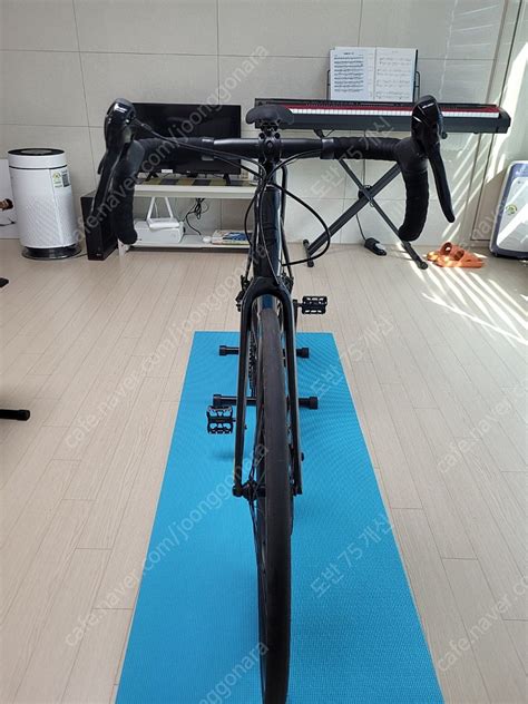 로드자전거 캐논데일 탑스톤4 로드바이크사이클 중고나라
