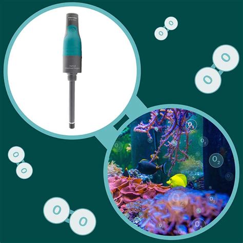 Investigating Aquatic Life A Ready To Use Experiment On Dissolved Oxygen Vernier