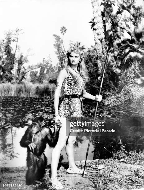 54 Sheena Queen Photos And High Res Pictures Getty Images