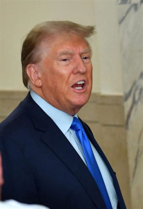 Donald Trump Doesn T Care About Being Named In Epstein Docs