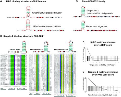 Structured Rna Motifs Identified By Clustering Slbp And Roquin 1 Public Download Scientific