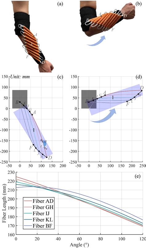 Figure 2 From A Compact Elbow Exosuit Driven By Pneumatic Artificial Muscles Semantic Scholar