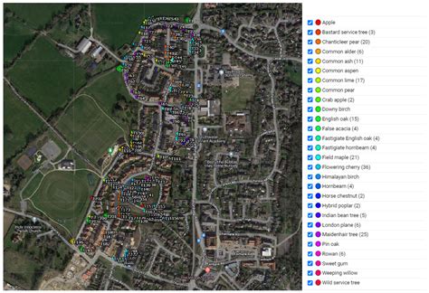 Management Of Tree Risk On A Large Development MDJ Arboricultural Consultancy Ltd
