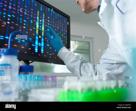 Scientist Analyzing DNA On Computer Screen At Laboratory Stock Photo Alamy