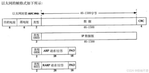 Linux网络——数据链路层 Ew帮帮网