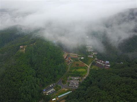 无人机技术在森林资源保护中的应用 知乎