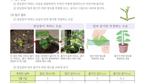 [초등과학 4 1 무료강의] 3 식물의 한살이 ⑥ 잎과 줄기는 자라면서 어떻게 변할까요 Youtube