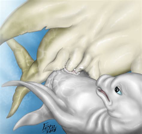 Rule 34 Anatomically Correct Cetacean Claspers Cum Cum In Pussy Cum