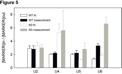 Accumulation Of Snrnp Complexes In Cb The Ratio Of The Mean