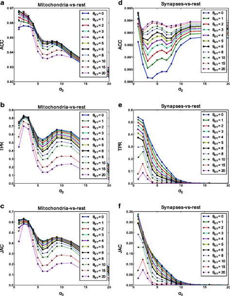 simultaneous segmentation of mitochondria and synaptic junctions