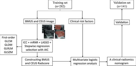 Development Of A Clinical Radiomics Nomogram Ijgm