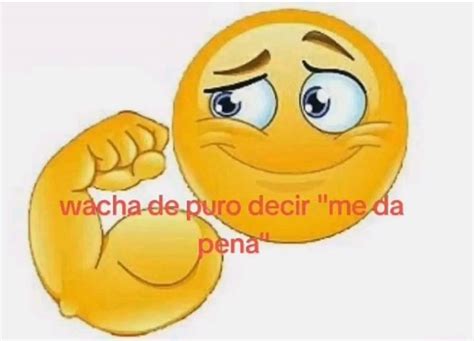 Cara De Meme Tímida