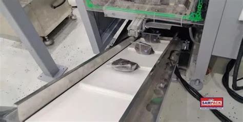 Multi Head Collar Type Packing Machine At ₹ 1700000 Multihead Weigher Packing Machine In