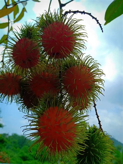 แก่งตาลิ โป่งน้ำร้อน Added A New แก่งตาลิ โป่งน้ำร้อน