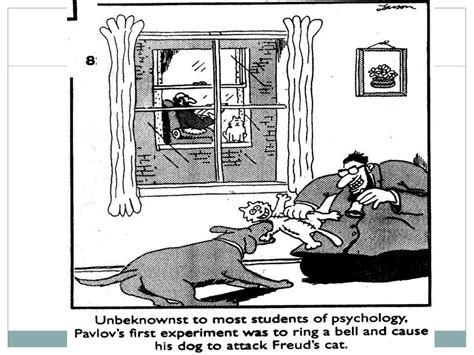 Ap Chapter 6 Learningpptclassical Conditioning Operant Condition Social Cognitive Learning