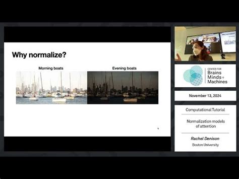 Free Video Normalization Models Of Attention From Neural Computation To Behavioral Goals From