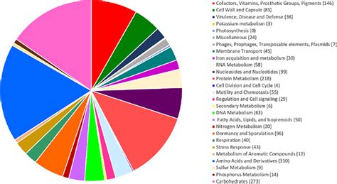distribution of subsystem categories found in the complete genome of