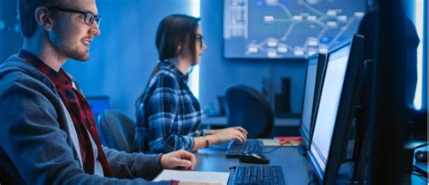 Database Developer