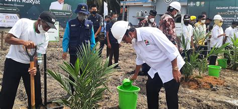 BPDPKS Kolaborasi Dengan Berbagai Pihak Demi Capai Target Percepatan Program Peremajaan Sawit ...
