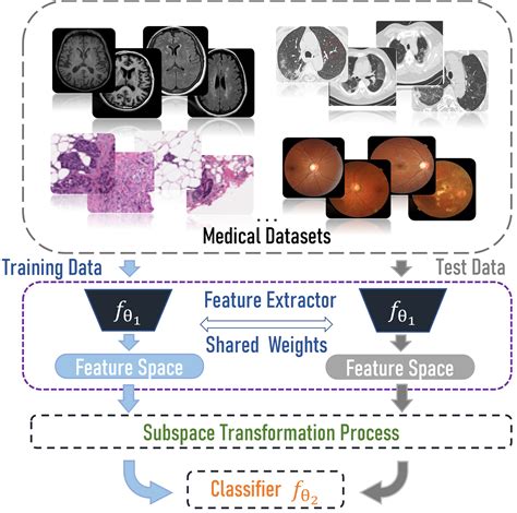 Non Negative Subspace Feature Representation For Few Shot Learning In Medical Imaging Ai