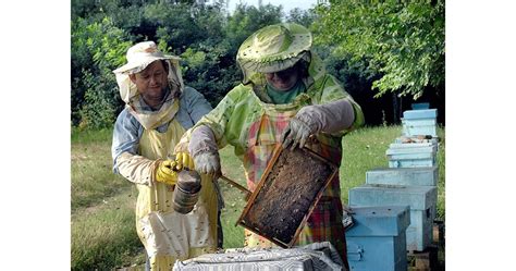 Пчеларите трябва да се регистрират в СЕУ Български Фермер