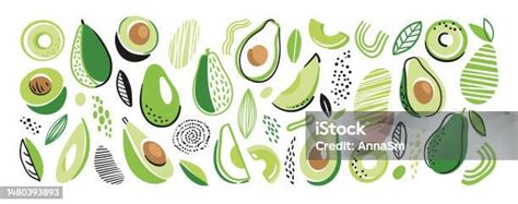 아보카도와 함께 추상 세트 전체 아보카도 아보카도 반쪽과 나뭇잎 흰색 배경에 격리된 요소 재미있는 현대 만화 스타일의 과일 벡터 그림입니다 0명에 대한 스톡 벡터 아트 및