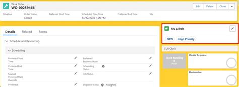 How To Add Labels To Salesforce Records Easily Jayanth G Posted On