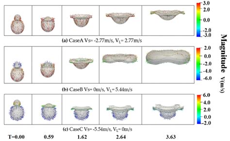 The Vector Fields Inside And Around The Colliding Droplets For The Case