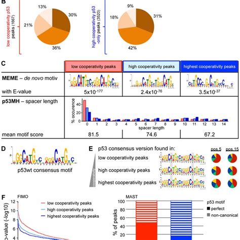 Dna Binding Cooperativity Extends The P53 Cistrome To Low Affinity Download Scientific Diagram