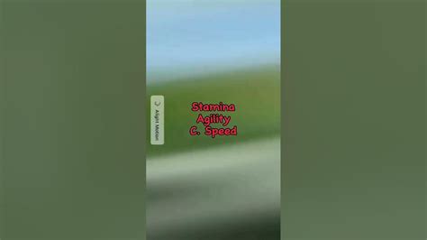 Sentinal Herobrine Vs Scp 2747 Youtube