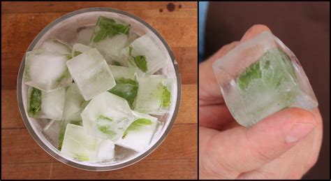 Mint Ice Cubes The Cavender Diary