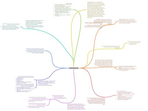 Sensorimotor System Coggle Diagram
