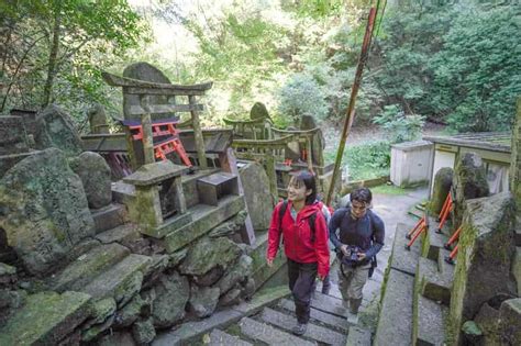 Kyoto 3 Hour Fushimi Inari Shrine Hidden Hiking Tour Getyourguide