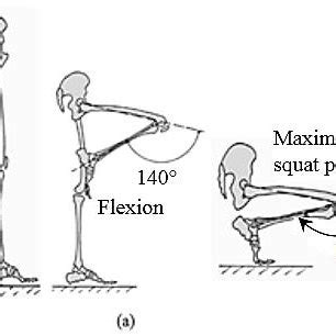 The Knee Joint 6 Figure 3 Kinematic Description Of Knee Joint