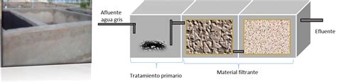 La Biofiltración ¡descubre Sus Beneficios — Hive