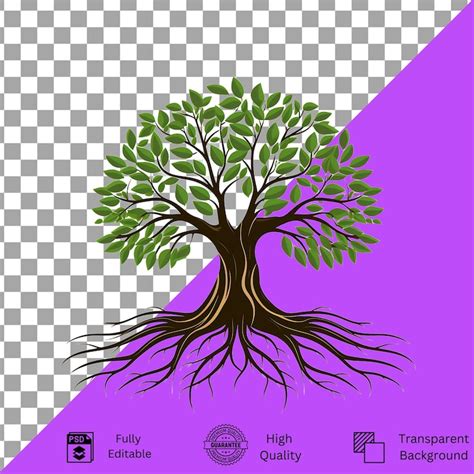 Extends Tree Roots Psd High Quality Free Psd Templates For Download